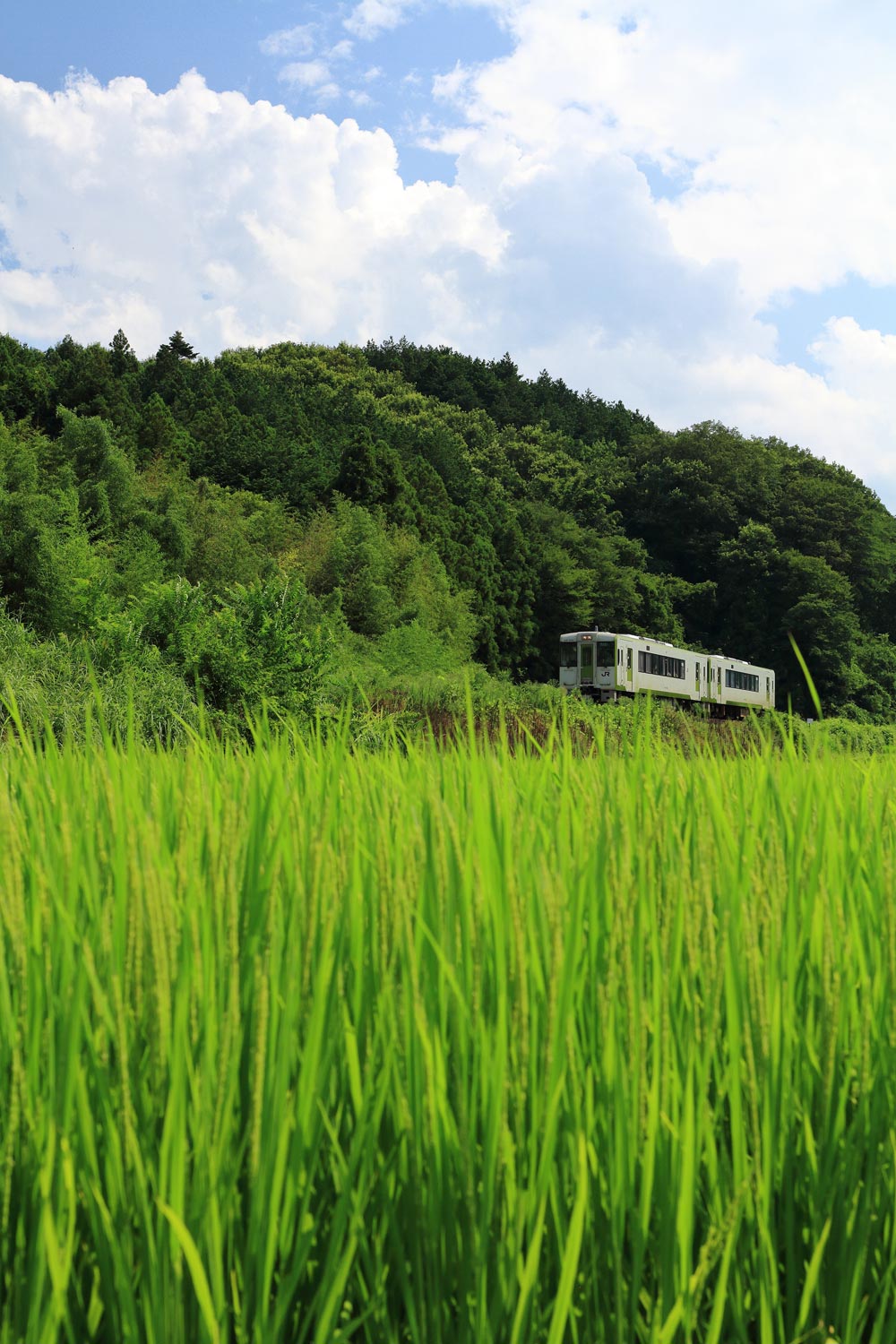 rail landscape | KIYOTAKA SHIBATA PHOTOGRAPHY