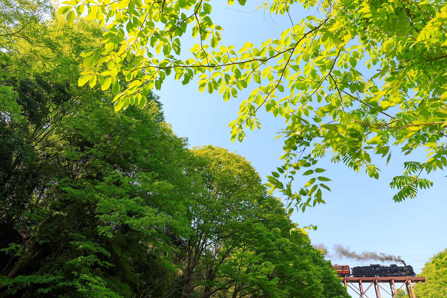 rail landscape | KIYOTAKA SHIBATA PHOTOGRAPHY